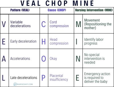 Fetal Heart Rate Monitoring and VEAL CHOP MINE in Nursing - NurseShip